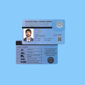 IDL GLOBAL SERVICE – Get Your IDL Instantly